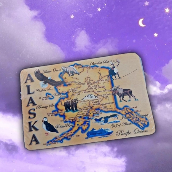 Games | Vtg Retro Style Alaska Playing Cards | Poshmark